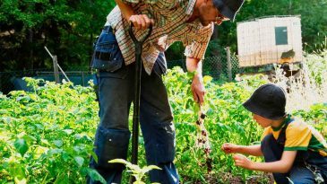 Spinal Backrack - Neck and Back Pain Treatment - UNIQUE CONCEPT