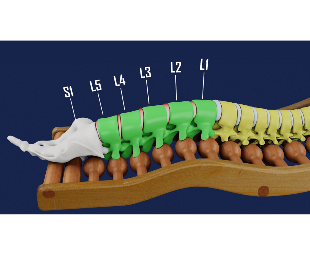 Backrack™ – Spinal Decompression Device - Spinal Backrack