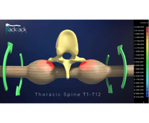 Backrack™ – Spinal Decompression Device - Spinal Backrack