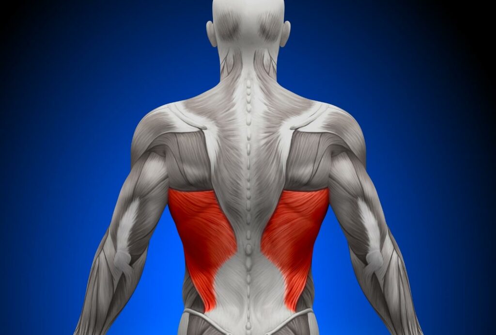 Degenerative Disc Disease Archives - Spinal Backrack