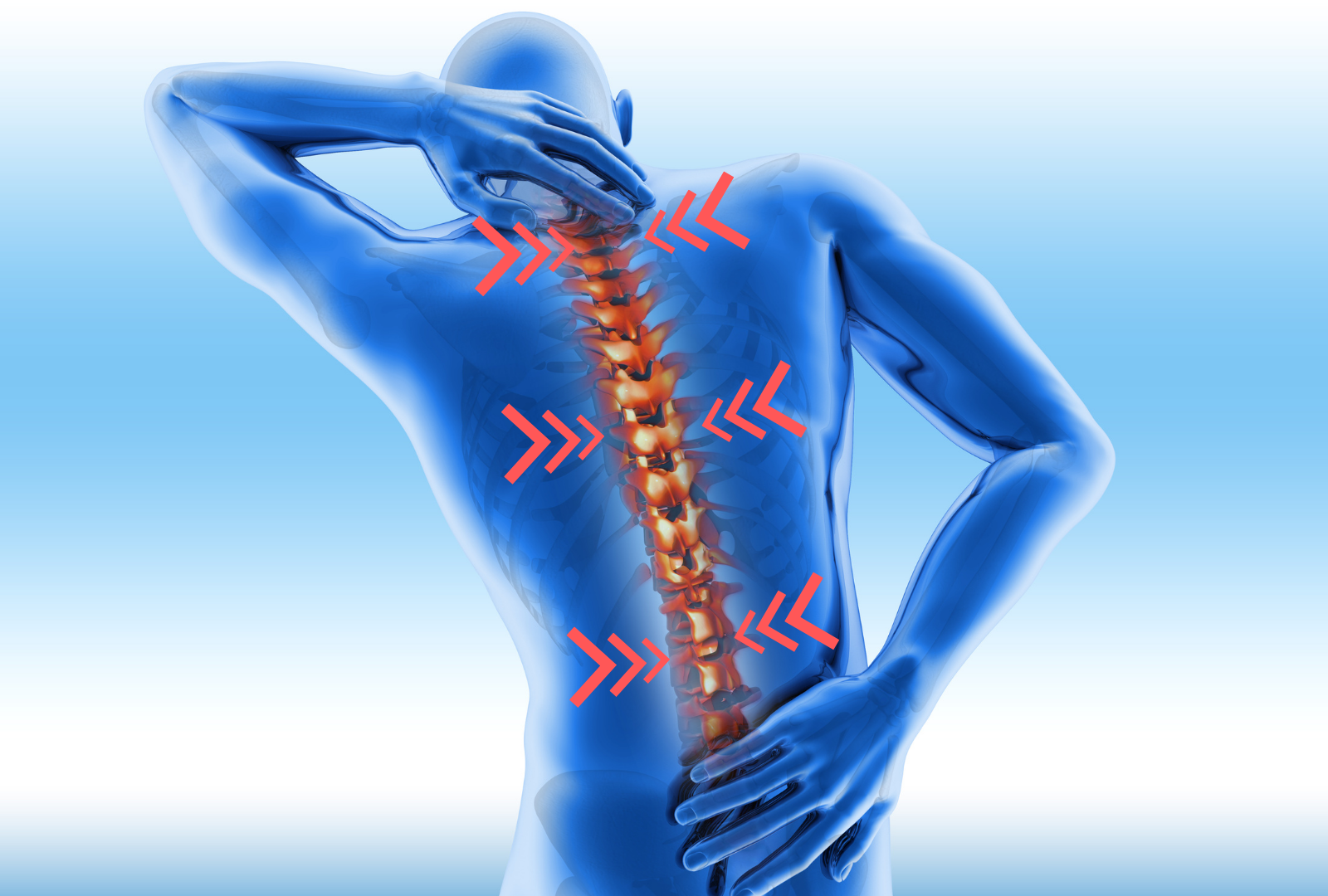 What To Do When Your Spine Feels Squeezed Spinal Backrack What To Do When Your Spine Feels Squeezed Spinal Backrack
