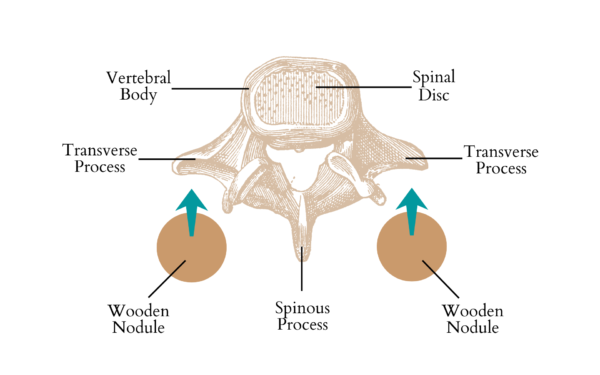 How does it work? - Spinal Backrack