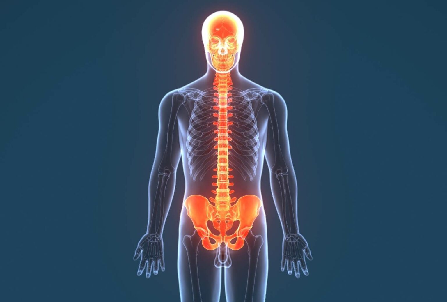 Back pain Archives - Spinal Backrack